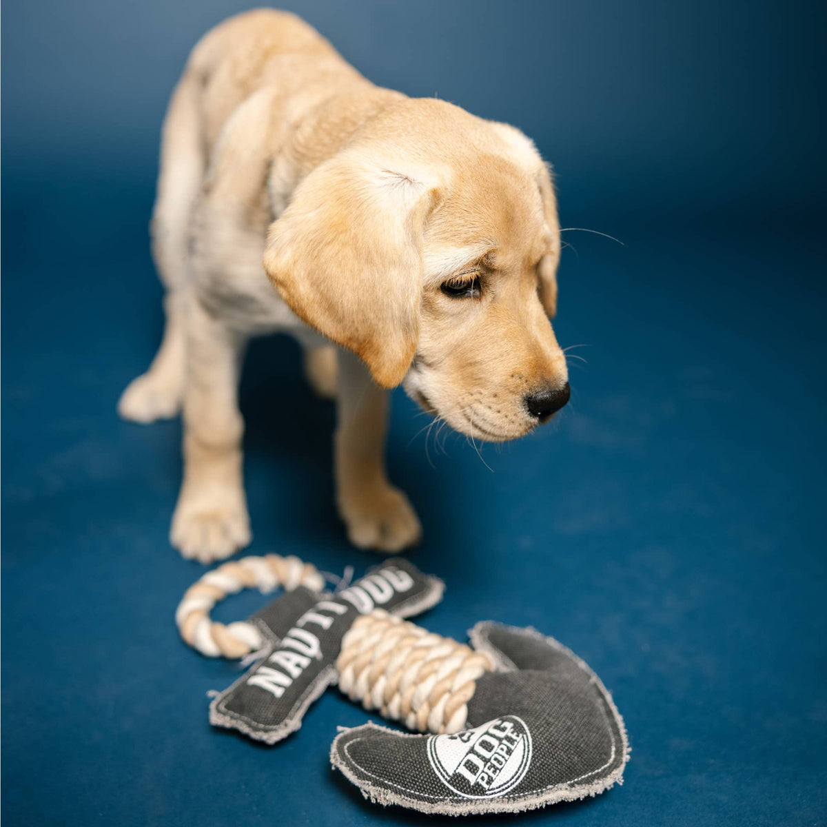 Nauti Dog - 12" Canvas Dog Toy on Rope – Vol Navy